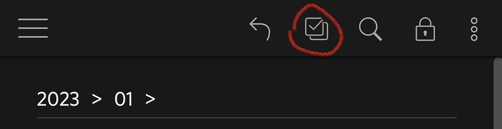What button is this? (Android App Menubar) - Help - Dynalist Forum
