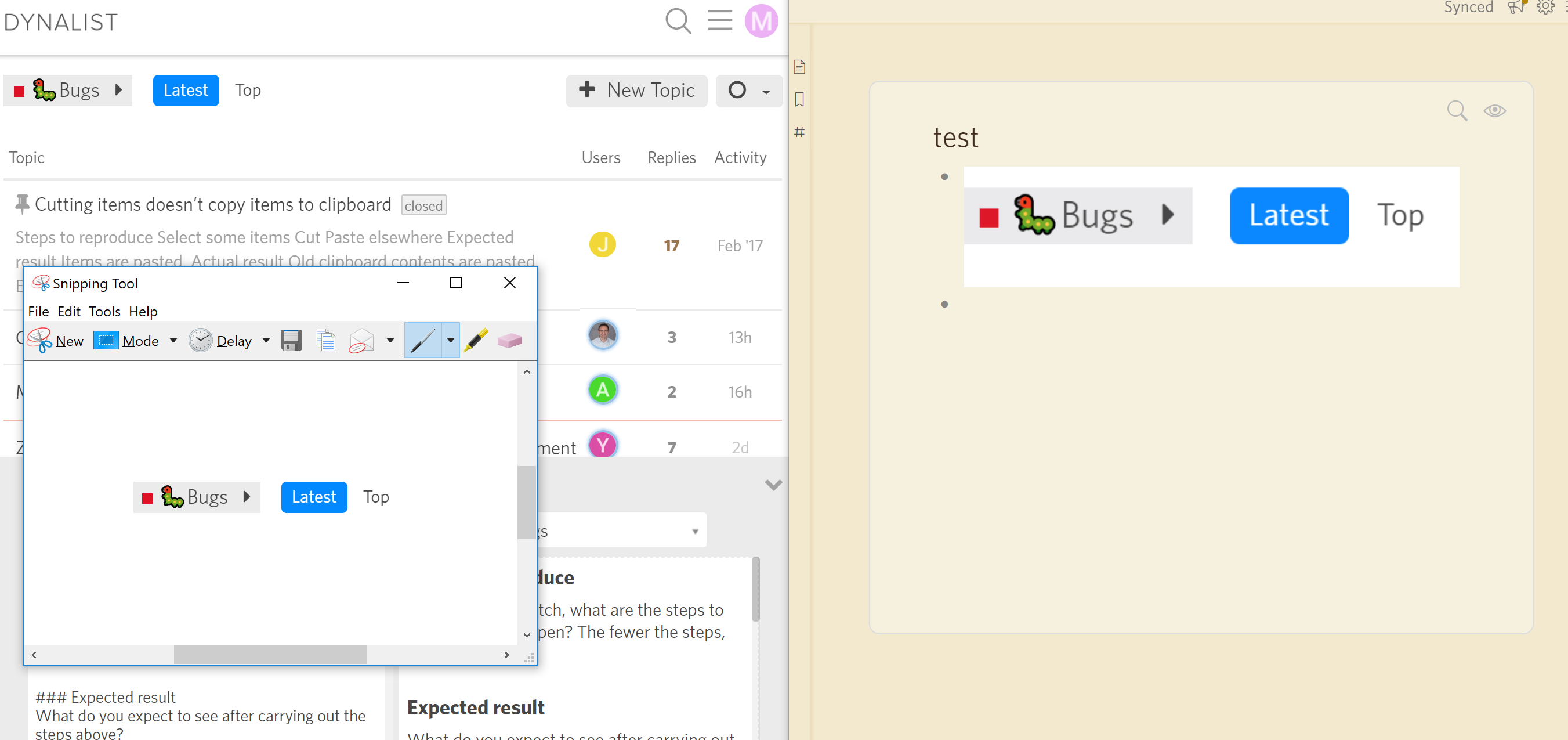 Images pasted into Dynalist are too large - 🐛Bugs - Dynalist Forum
